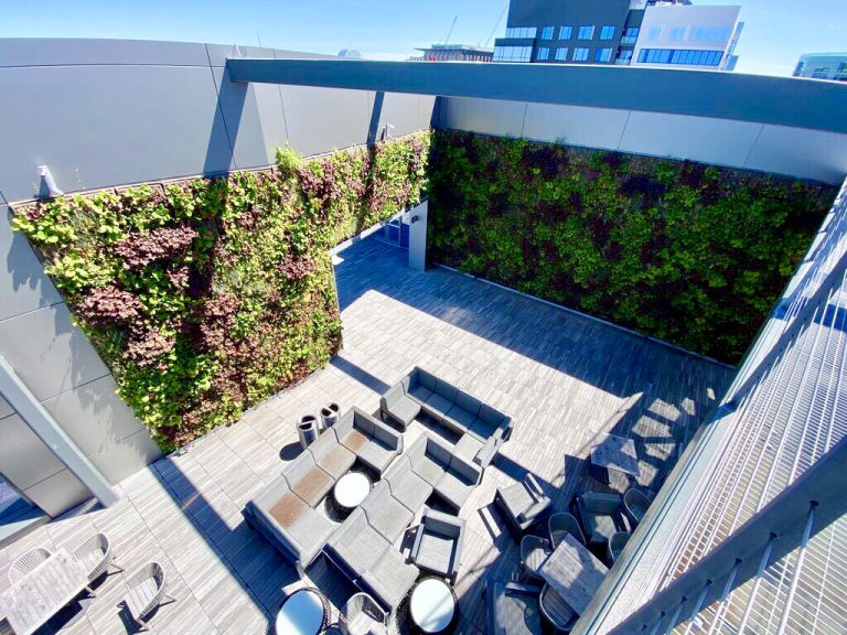6 reasons why you should choose a SemperGreenwall - Sempergreen USA