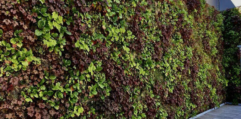 Sempergreen USA - Green walls & green roofs