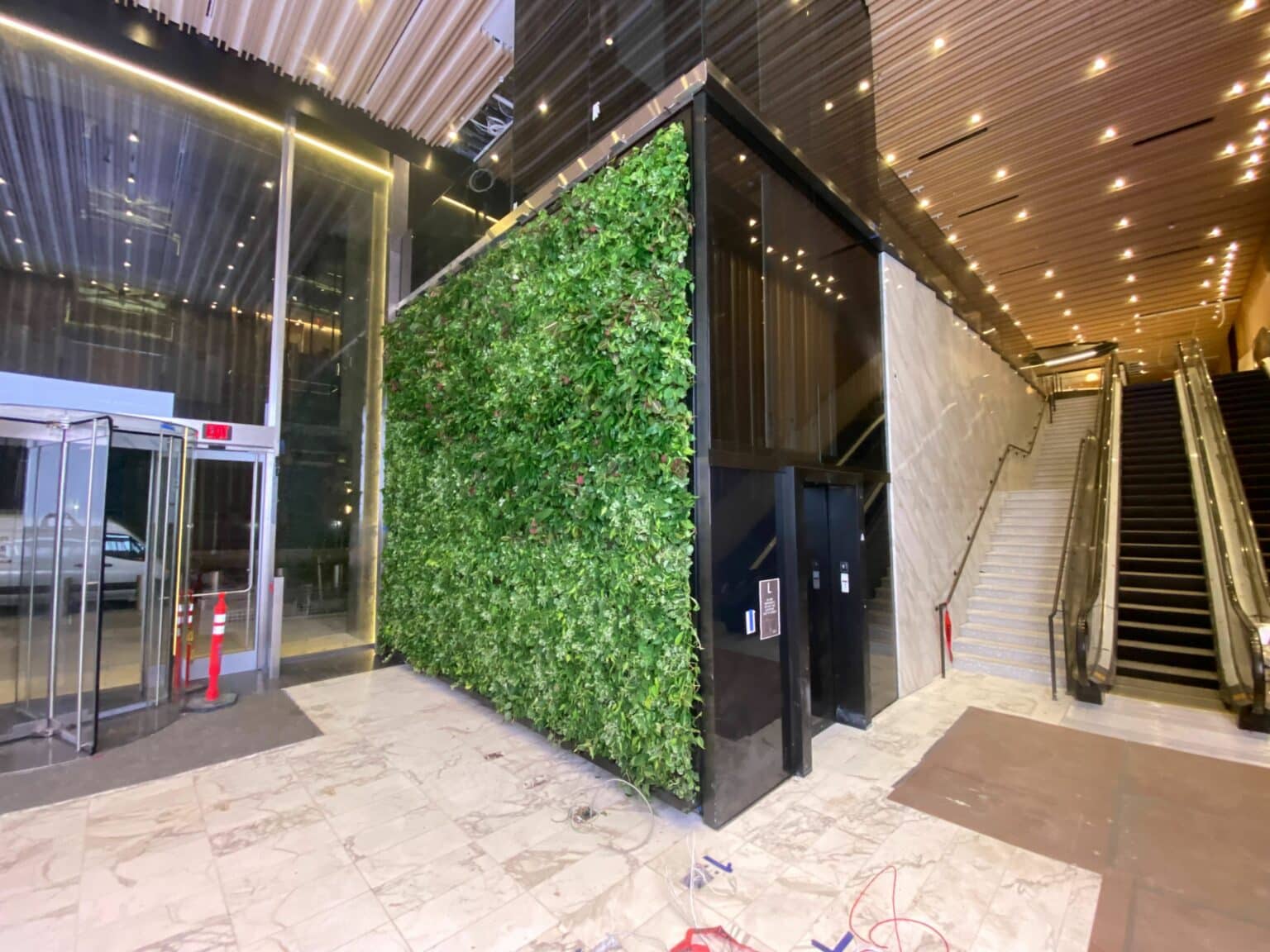 Pfizer - Sempergreen USA