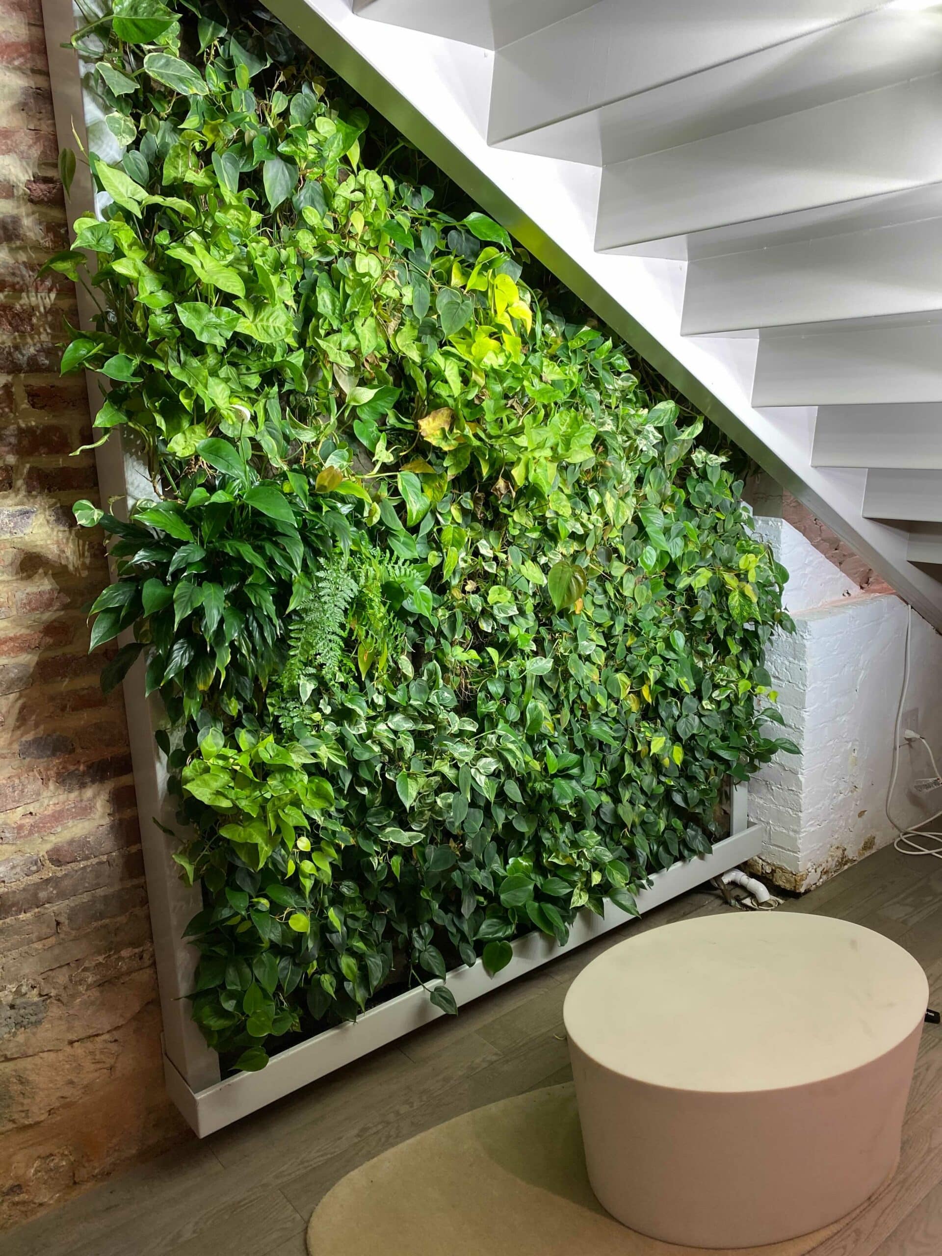 MCN build - Sempergreen USA