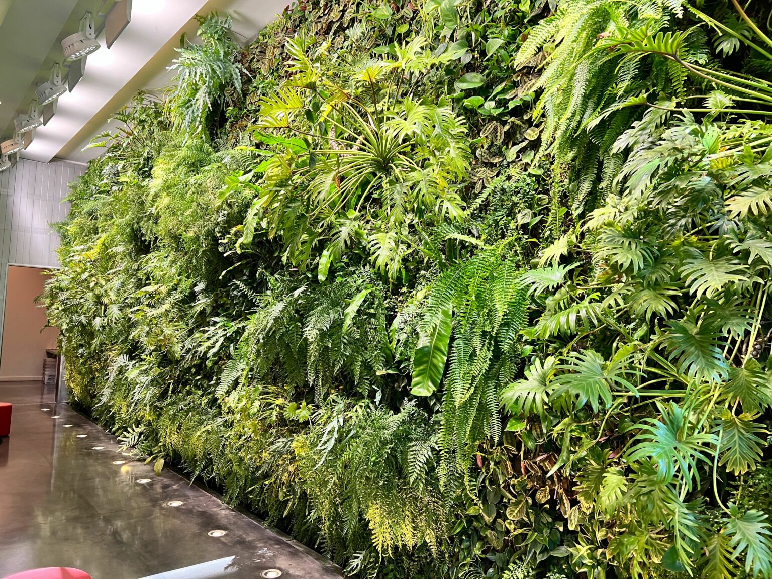 Vertical gardens: The future of Urban Green Spaces - Sempergreen