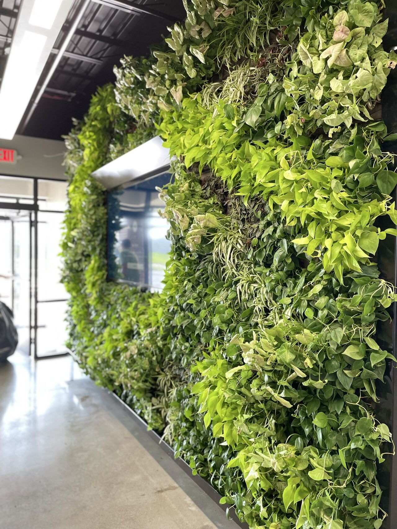 The benefits of having an indoor plant wall - Sempergreen USA