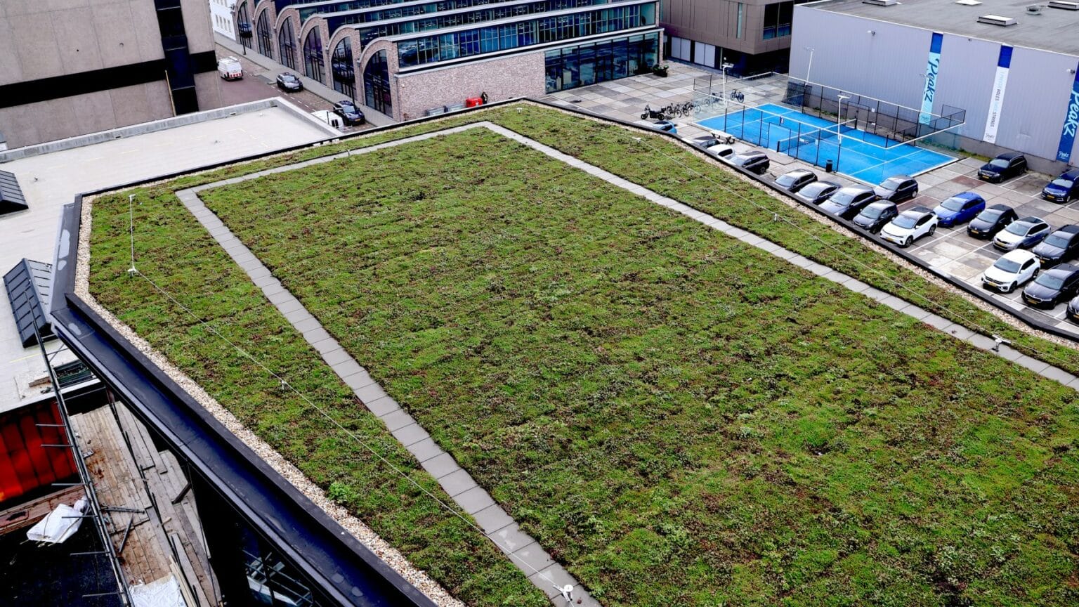 Renovating flat roofs? Consider a green roof